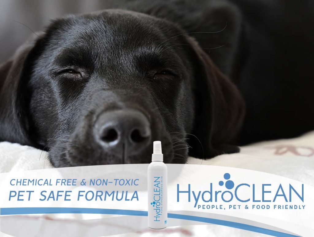 HydroClean Pure Hypochlorous Acid - Infection Control Solutions